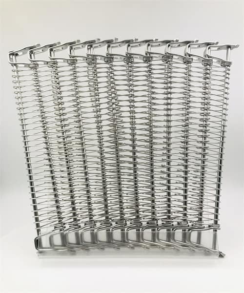 Frozen Industry - YIYI Mesh Belt